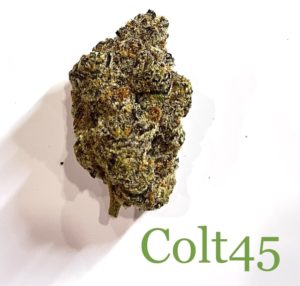 COLT 45 Indica Hybrid - World Wide Weed Pattaya Thailand