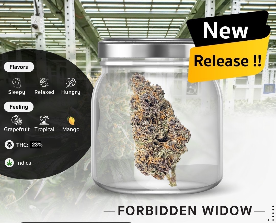 LSD - World Wide Weed Pattaya Thailand